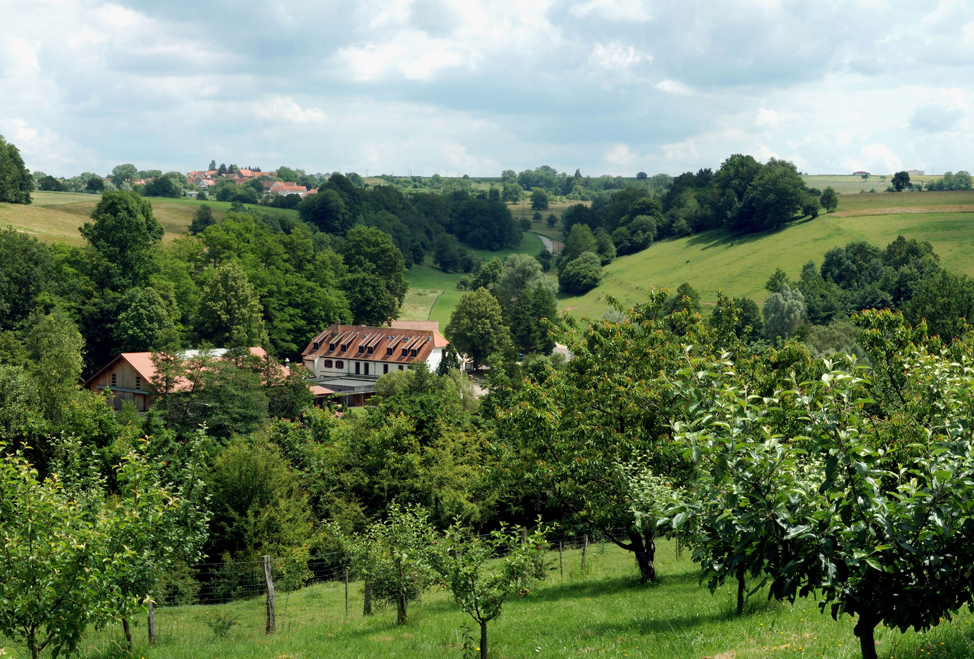 Communauté de Communes du Pays de Bitche | Site officiel