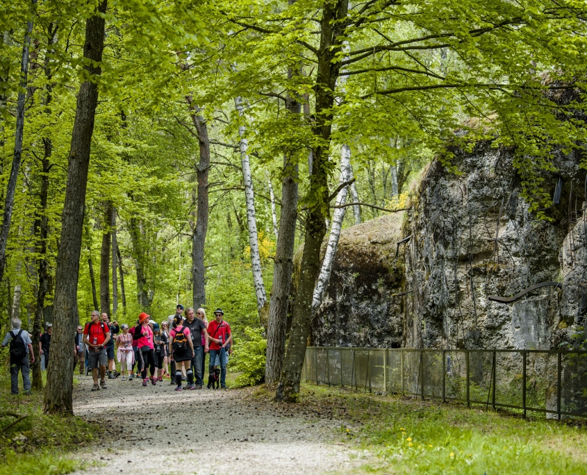 Le Simserhof | Communauté de Communes du Pays de Bitche