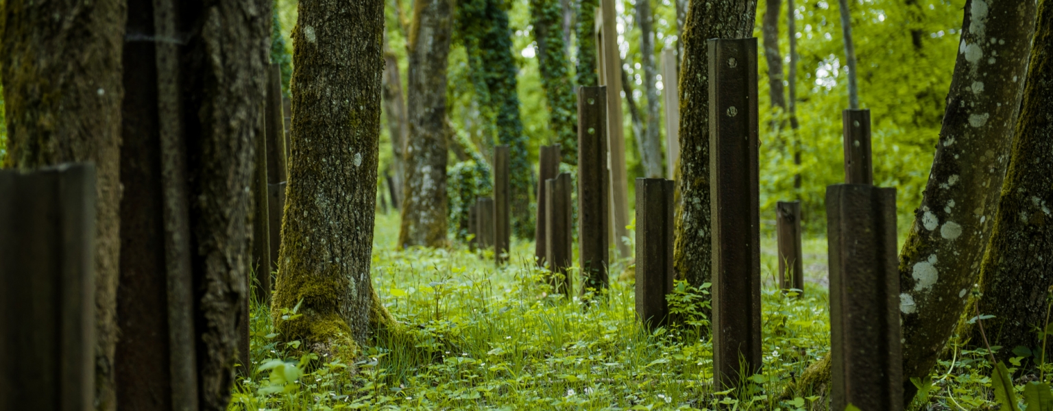 Le Simserhof | Communauté de Communes du Pays de Bitche